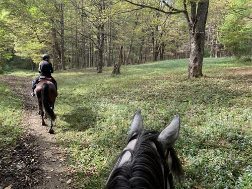 Best Hikes and Trails in Charles E. Baker State Forest | AllTrails