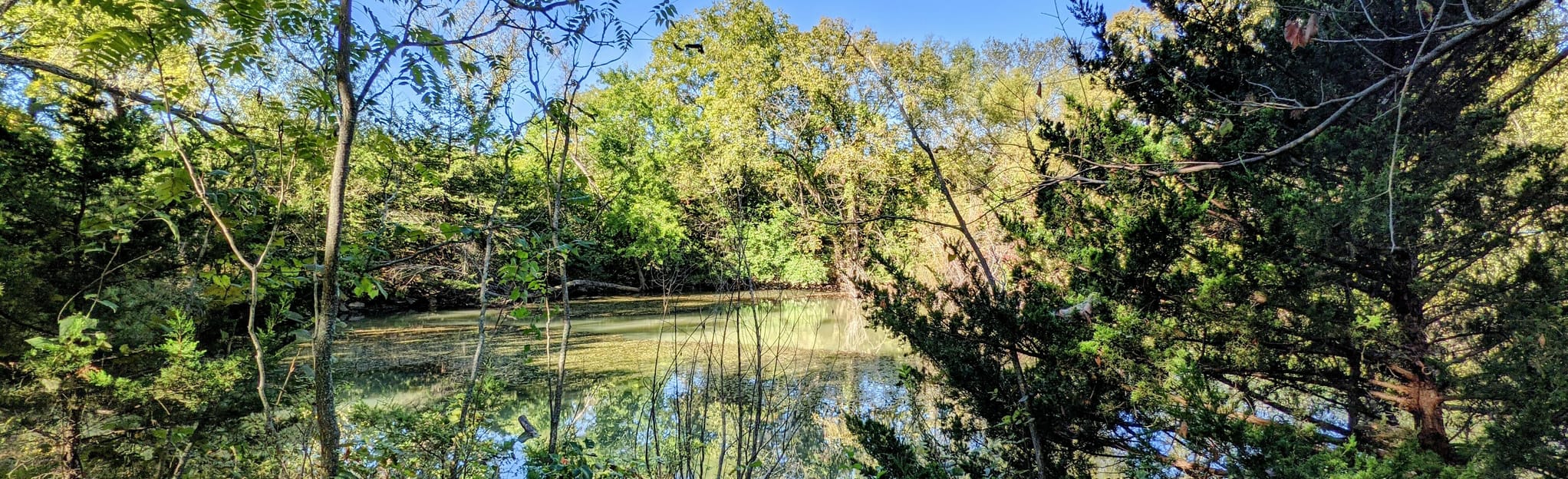 Cedar Niles Park - Columbine Trail, Kansas - 432 Reviews, Map | AllTrails