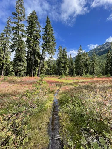 10 Best Trails and Hikes in Index | AllTrails