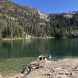 Sawtooth Lake and Alpine Peak, Idaho - 195 Reviews, Map | AllTrails