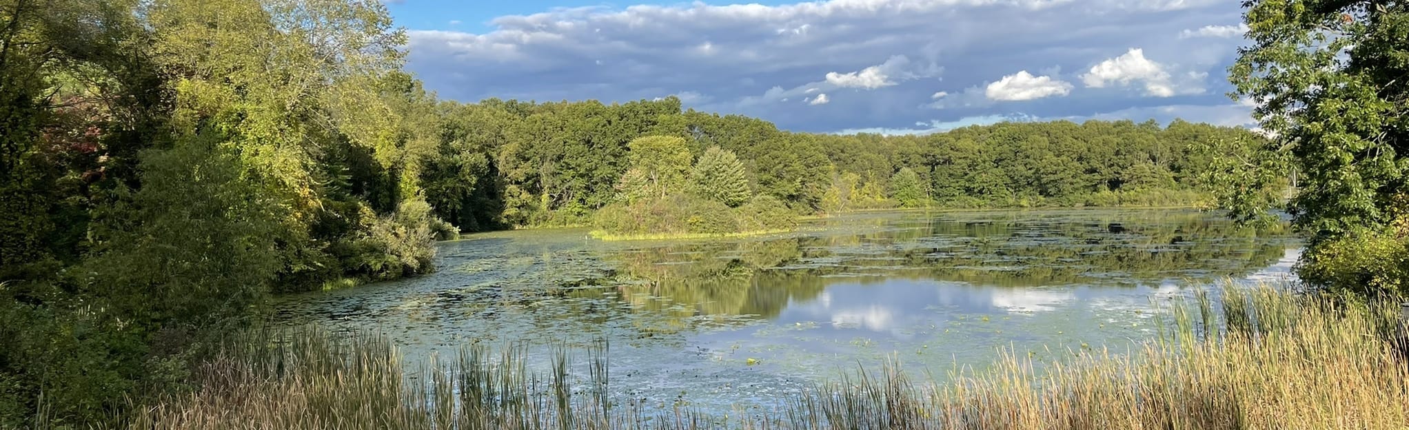 Holly State Recreation Area Wilderness Trail | Map, Guide - Michigan ...