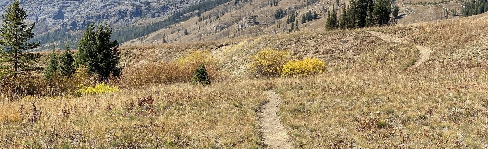 Pebble Creek Trail via Northeast Trailhead, Montana - 51 Reviews, Map ...