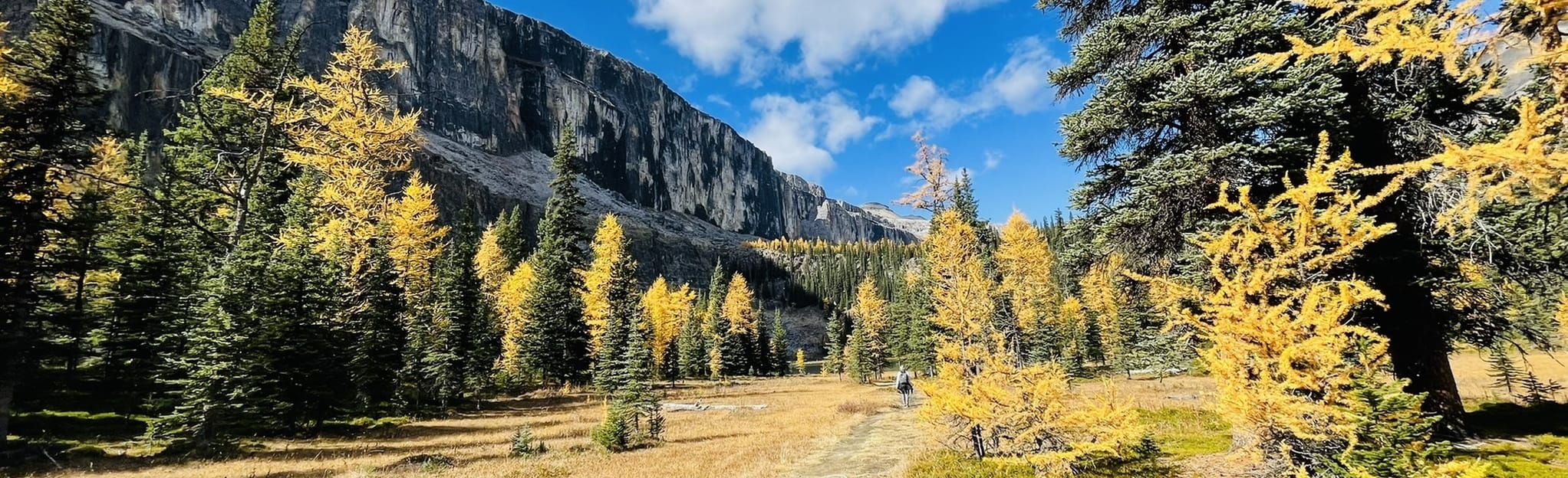 Protection Mountain Traverse : 806 foto's - Alberta, Canada | AllTrails