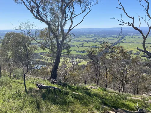 Best Hikes and Trails in Warby Ranges State Park | AllTrails