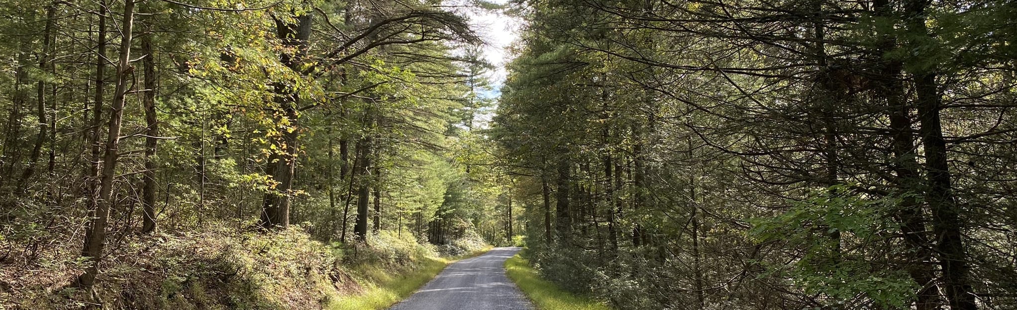 Camps, Lower, and Upper Lollipop Trail Loop: 20 Reviews, Map ...