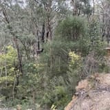 Mafeking Walking Loop, Victoria, Australia - 9 Reviews, Map | AllTrails