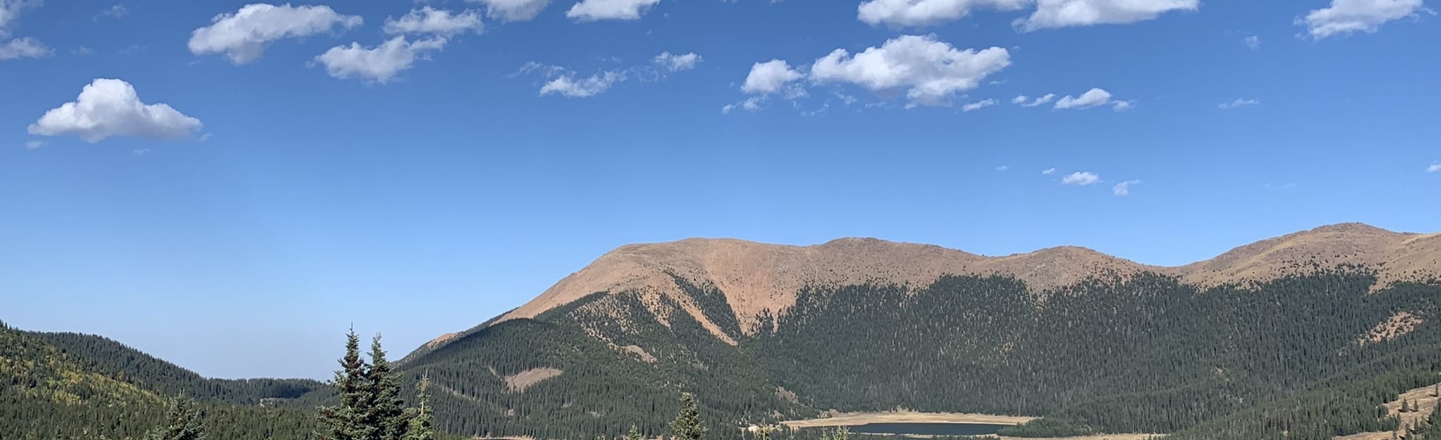 Mount Rosa OHV Trail : 20 Reviews, Map - Colorado | AllTrails