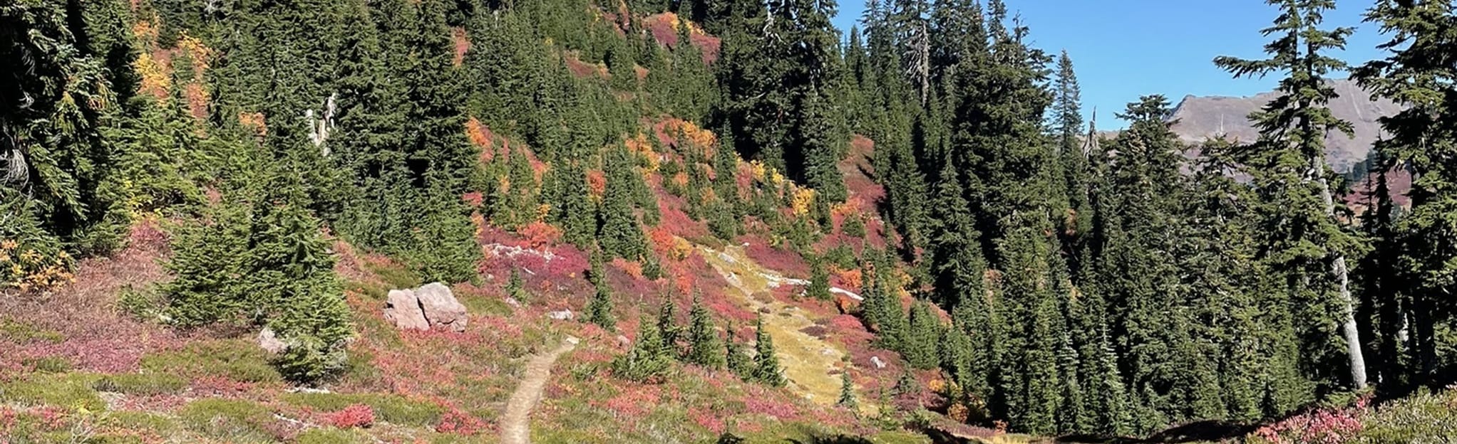 White Pass Pilot Ridge Loop Trail, Washington - 97 Reviews, Map | AllTrails