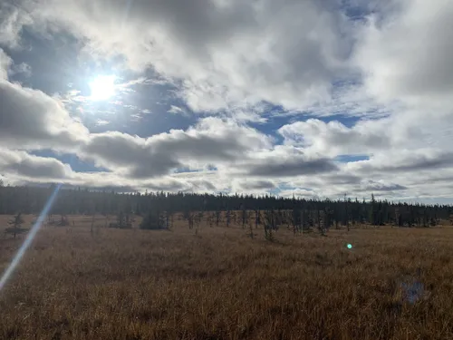 10 Best Snowshoeing Trails in Urho Kekkonen National Park | AllTrails