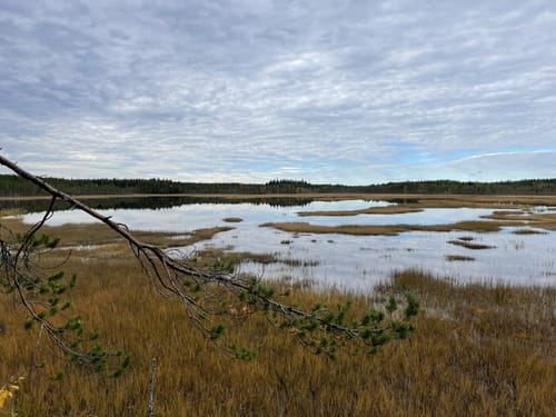 Best River Trails in Hamra National Park | AllTrails