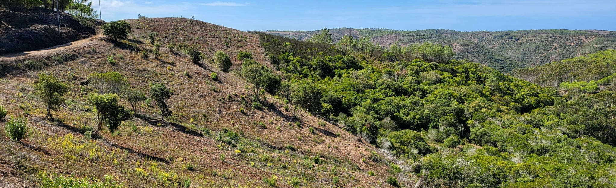 Trail through the Hills and Valleys of Bordeira: 3 Reviews, Map - Faro ...