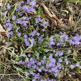 Kep Track: Northam to Bakers Hill, Western Australia, Australia - 20 ...