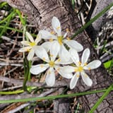 Kep Track: Northam to Bakers Hill, Western Australia, Australia - 20 ...