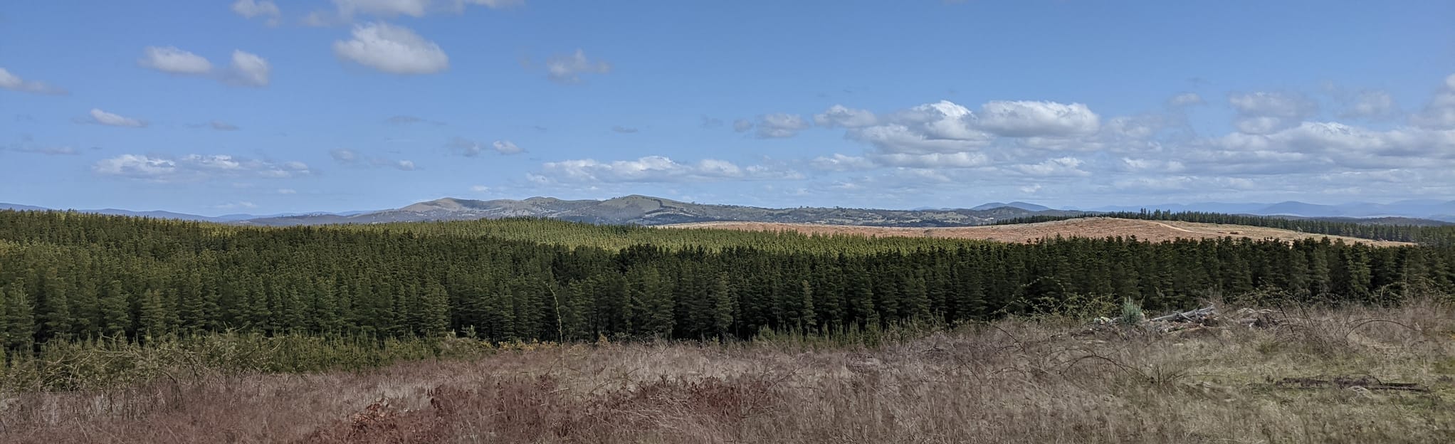 East Kowen Loop, New South Wales, Australia - 18 Reviews, Map | AllTrails