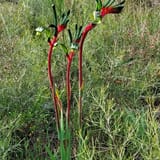 Kep Track: Northam to Bakers Hill, Western Australia, Australia - 20 ...