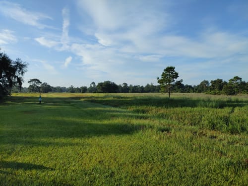 Best Hikes and Trails in Split Oak Forest Wildlife And Environmental ...