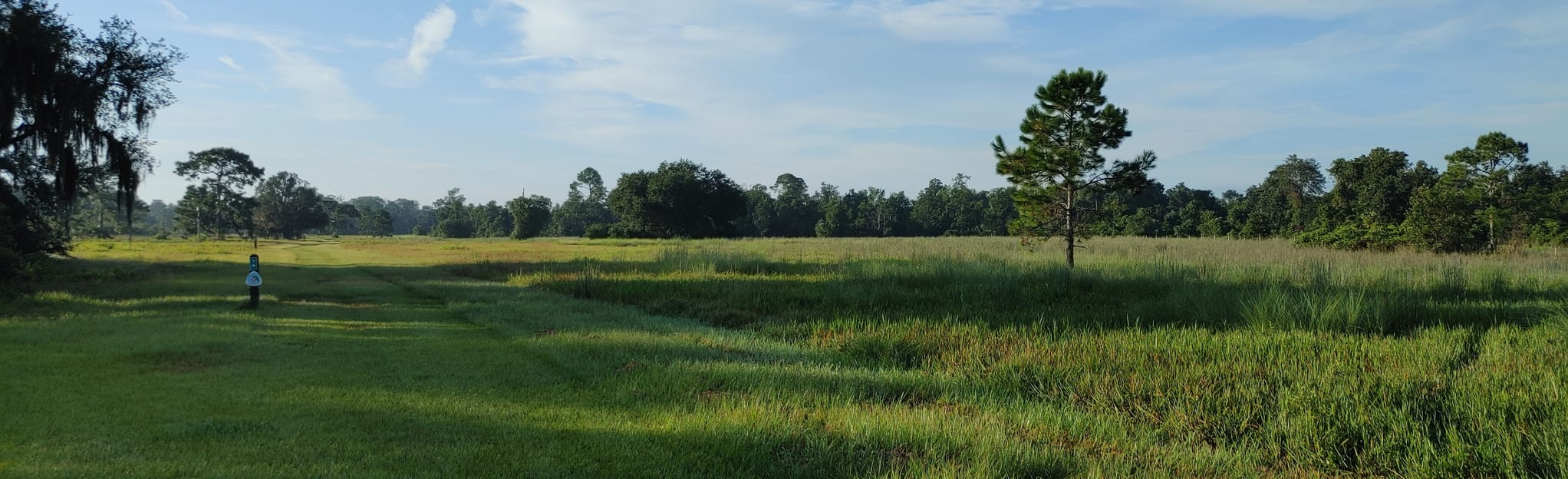 Split Oak Center Trail: 59 Reviews, Map - Florida | AllTrails