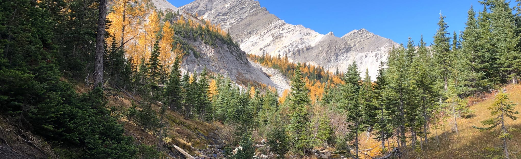 Loomis Lake via Loomis Creek Trail, Alberta, Canada - 7 Reviews, Map ...