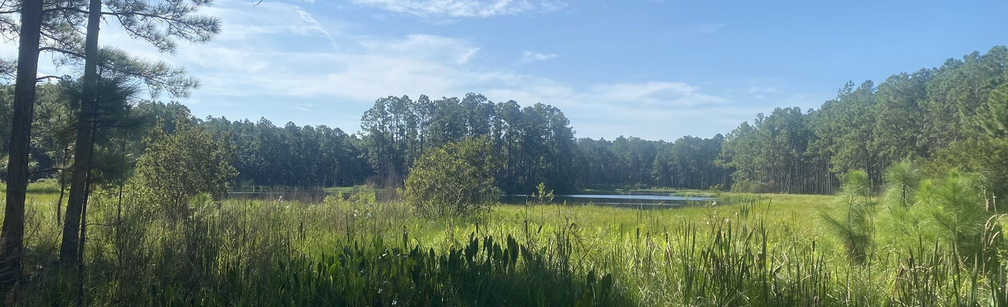 Split Oak North/South Trail: 200 Reviews, Map - Florida | AllTrails