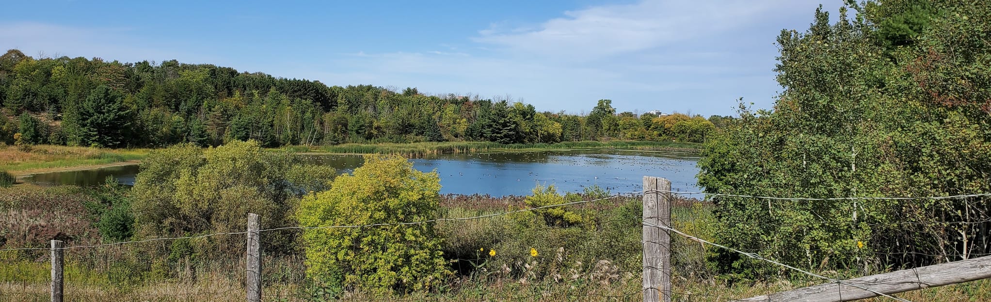 Bruce Pit Dog Park - Ontario, Canada | AllTrails