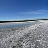 La Sal del Rey Trail, Texas - 26 Reviews, Map | AllTrails