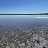 La Sal del Rey Trail, Texas - 26 Reviews, Map | AllTrails