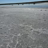 La Sal del Rey Trail, Texas - 26 Reviews, Map | AllTrails