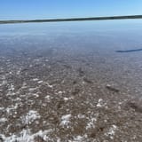 La Sal del Rey Trail, Texas - 26 Reviews, Map | AllTrails