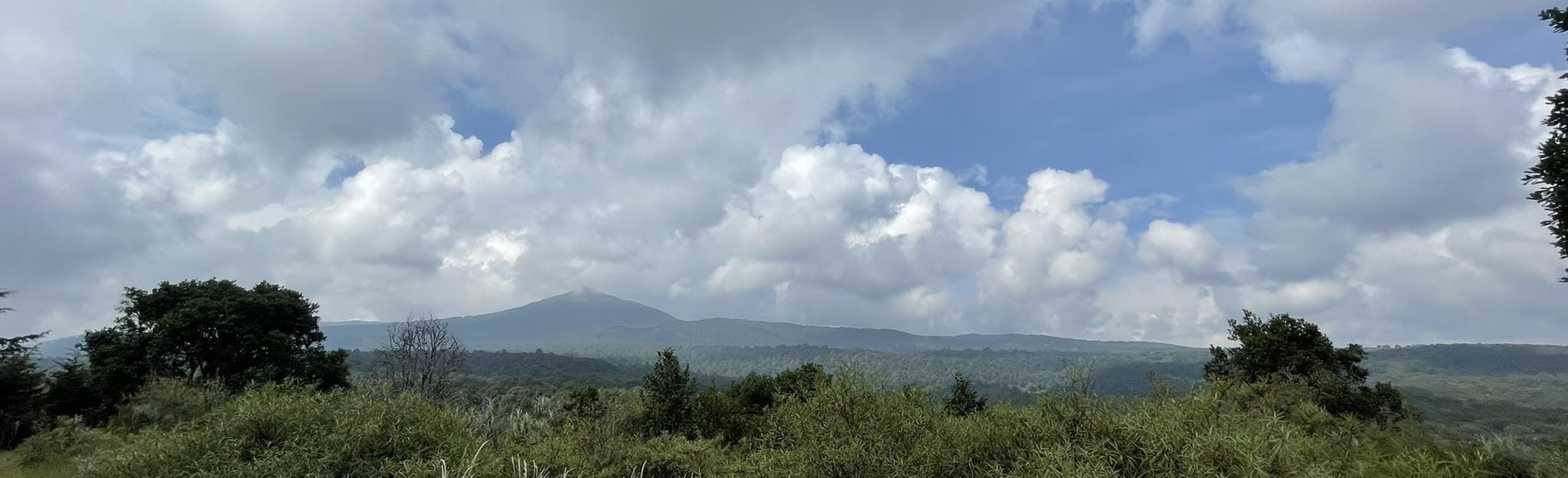 Parque Ejido Calimaya, México, Mexico - Map, Guide | AllTrails
