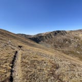 Webster and Red Cone Pass Trail, Colorado - 120 Reviews, Map | AllTrails