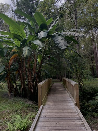 Best Hikes and Trails in Lake Alice Conservation Area | AllTrails