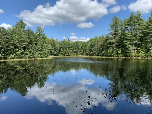 Best Lake Trails in Raymond | AllTrails