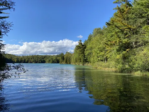 10 Best Trails and Hikes in Chelsea | AllTrails