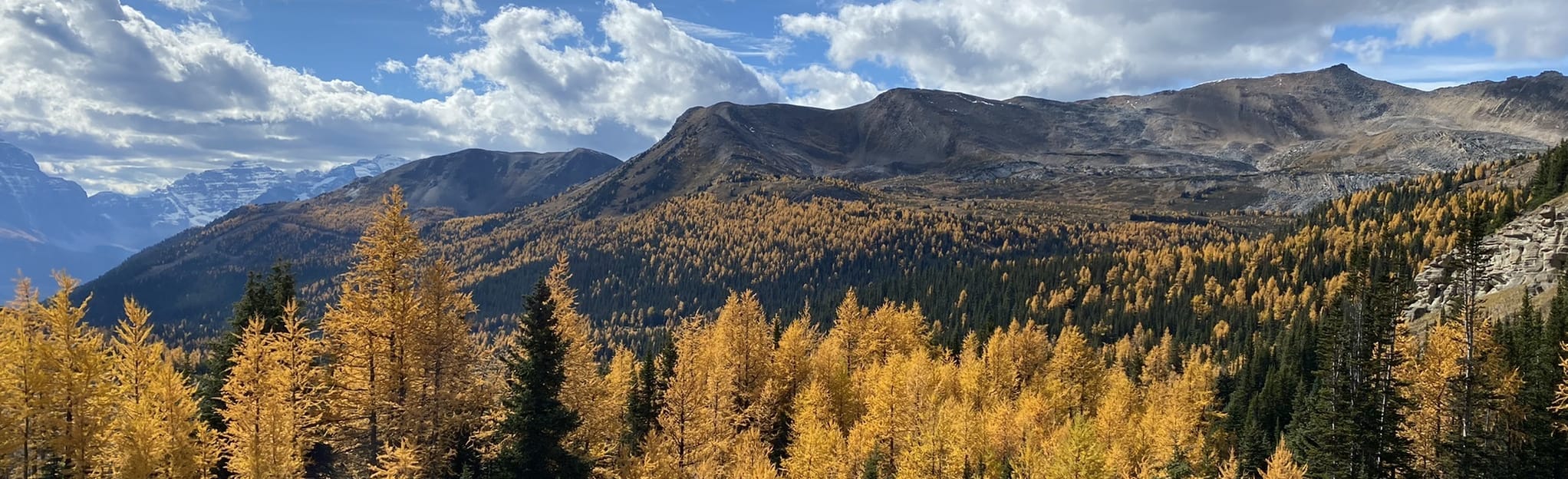 Boulder Pass, Alberta, Canada - 87 Reviews, Map | AllTrails
