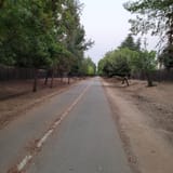 Clovis Trail, California - 100 Reviews, Map | AllTrails