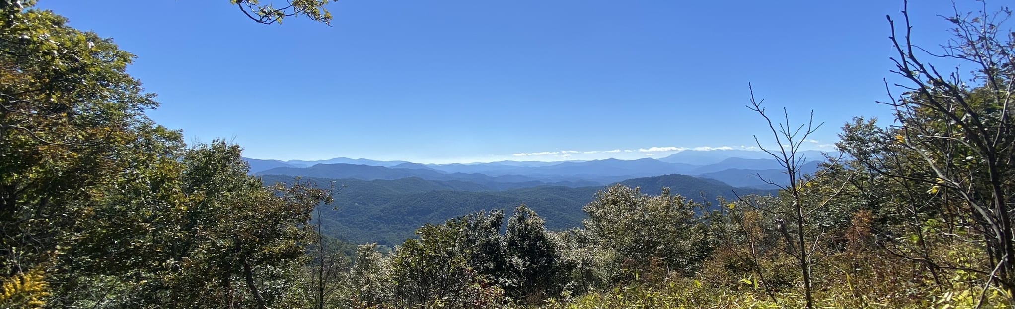 Appalachian Trail: Beauty Spot to Unaka Mountain - North Carolina ...