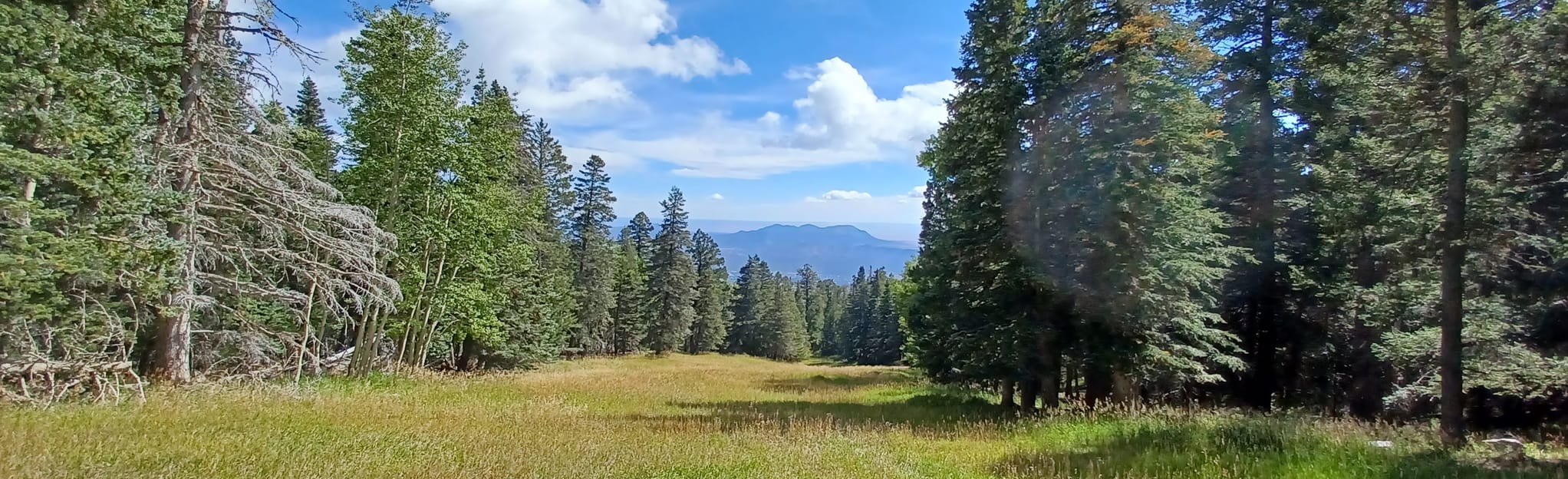 Sandia Peak Tramway and Tree Spring Loop: 13 Reviews, Map - New Mexico ...