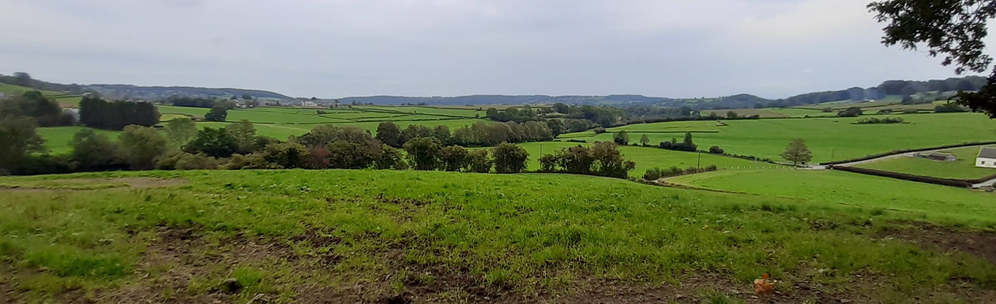 Theux Loop via Hodbomont: 3 Reviews, Map - Liège, Belgium | AllTrails