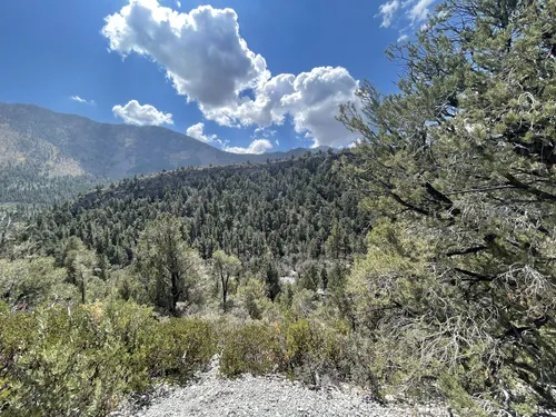 10 Best Trails and Hikes in Mount Charleston | AllTrails