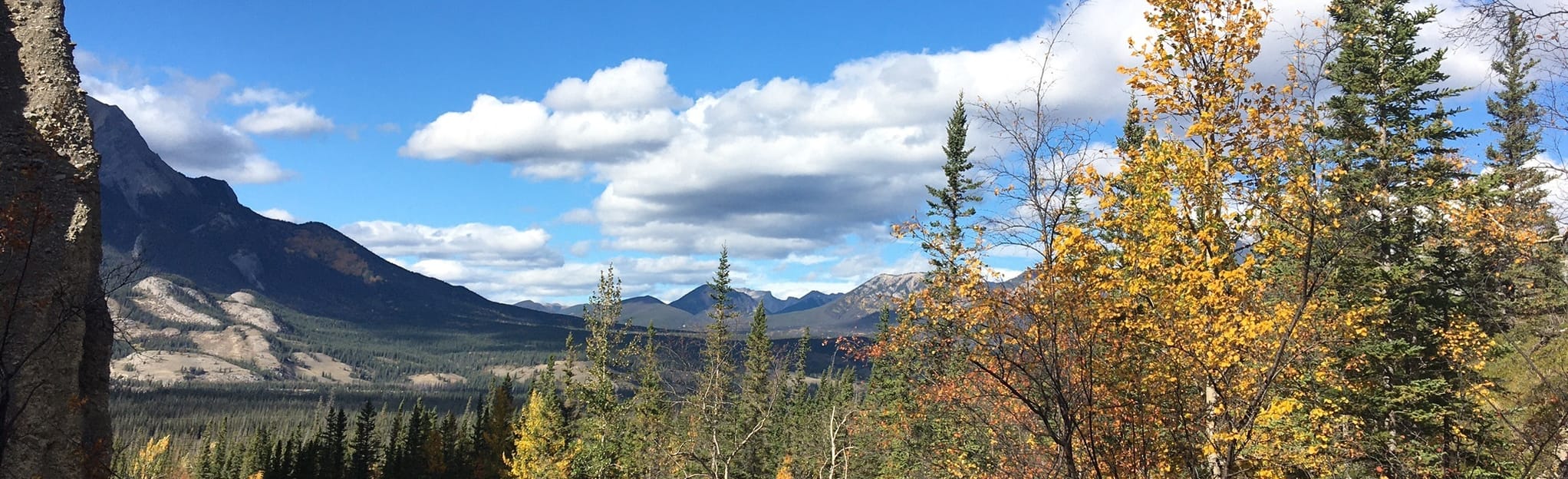 Roche Miette Canyon, Alberta, Canada - 148 Reviews, Map | AllTrails