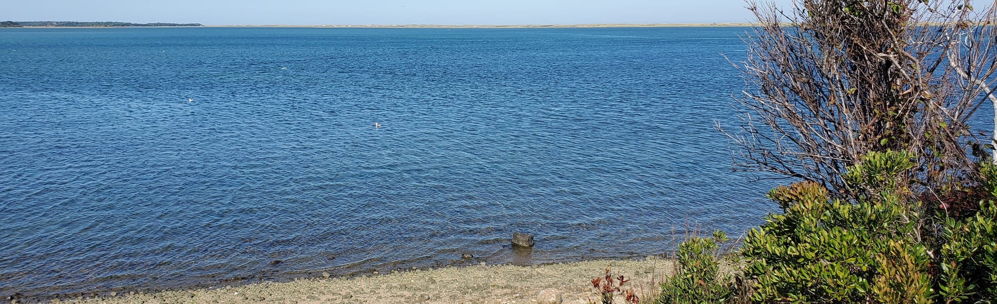 Strong Island Trail Loop, Massachusetts - 4 Reviews, Map | AllTrails