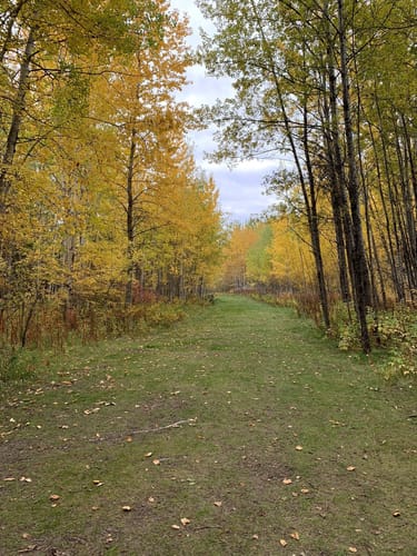 Best Hikes and Trails in Hasse Lake Park | AllTrails