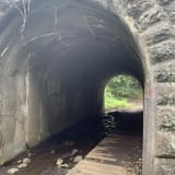 Avalon Loop Trail, Maryland - 232 Reviews, Map | AllTrails