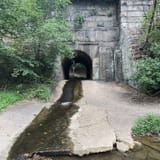 Avalon Loop Trail, Maryland - 232 Reviews, Map | AllTrails