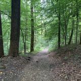 Avalon Loop Trail, Maryland - 232 Reviews, Map | AllTrails