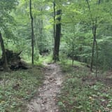 Avalon Loop Trail, Maryland - 232 Reviews, Map | AllTrails