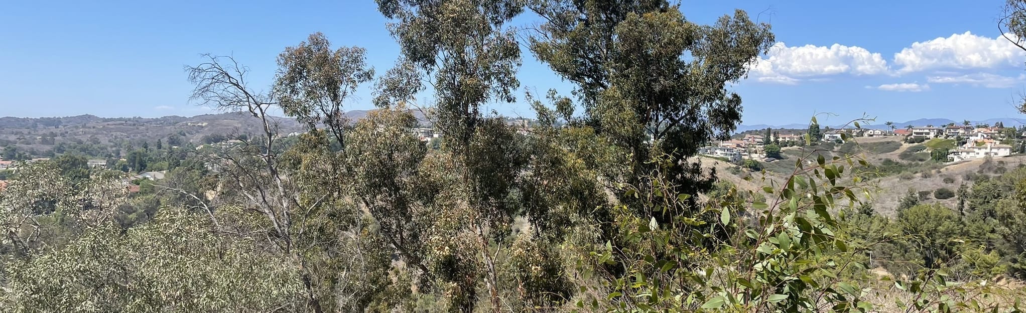 Murphy Ranch Trail | Map, Guide - California | AllTrails