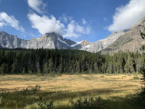 Best Camping Trails in Donald | AllTrails