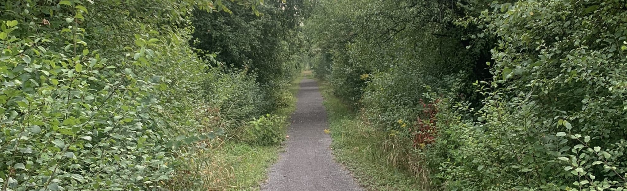 Trail 27 Loop, Ontario, Canada - 55 Reviews, Map | AllTrails