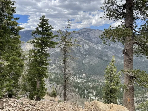 10 Best Trails and Hikes in Mount Charleston | AllTrails